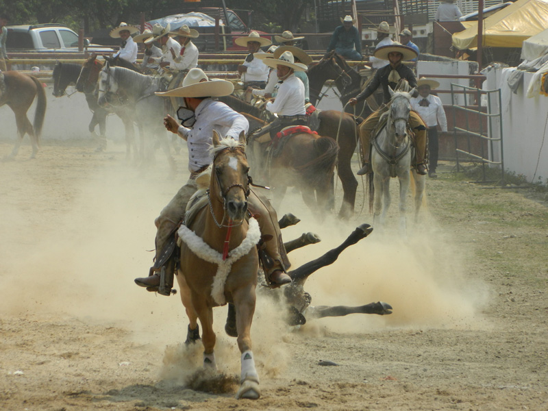 La charrería mexicana es declarada Patrimonio Inmaterial de la ...