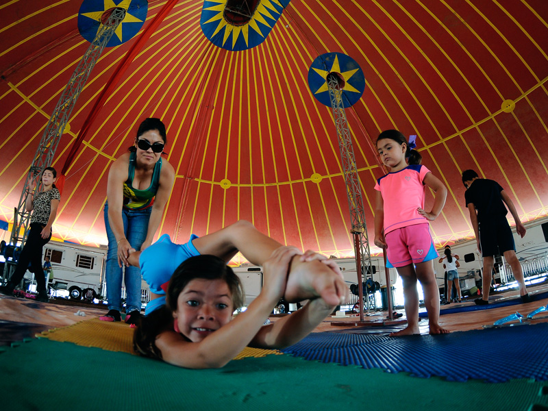 Hacen del circo una gran familia - Nortedigital