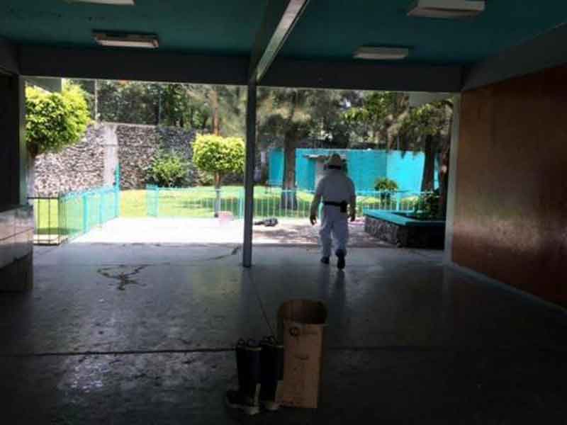 Abejas atacan a alumnos en secundaria de Morelos Abejas atacan a alumnos en secundaria de Morelos