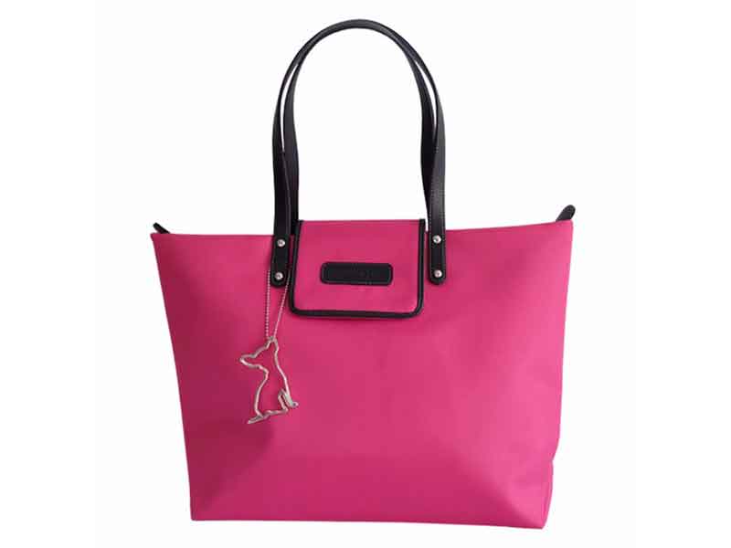 Los Chihuahuas se ponen Chic - Nortedigital