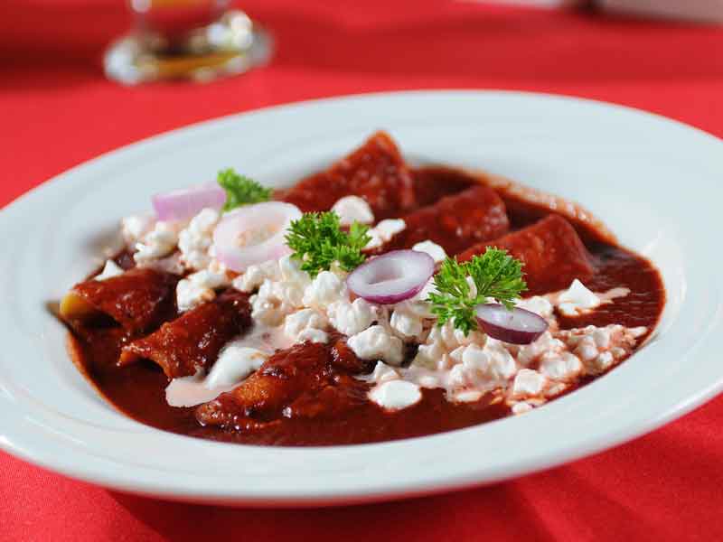 Disfruta de una Gran Fiesta Mexicana - Nortedigital