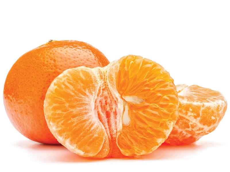 Mandarina, la fruta de temporada - Nortedigital