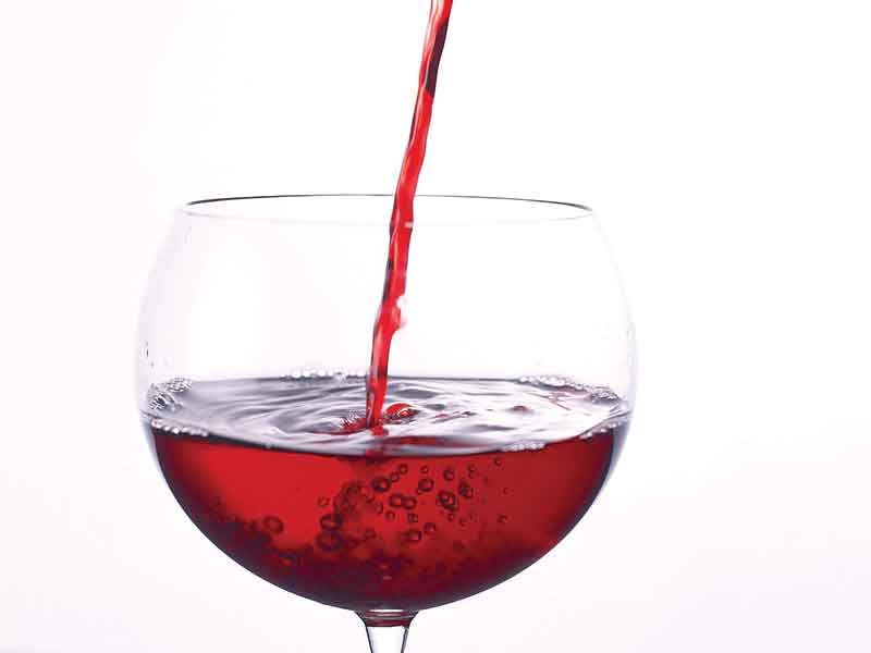 Disfruta y conoce más del Malbec - Nortedigital