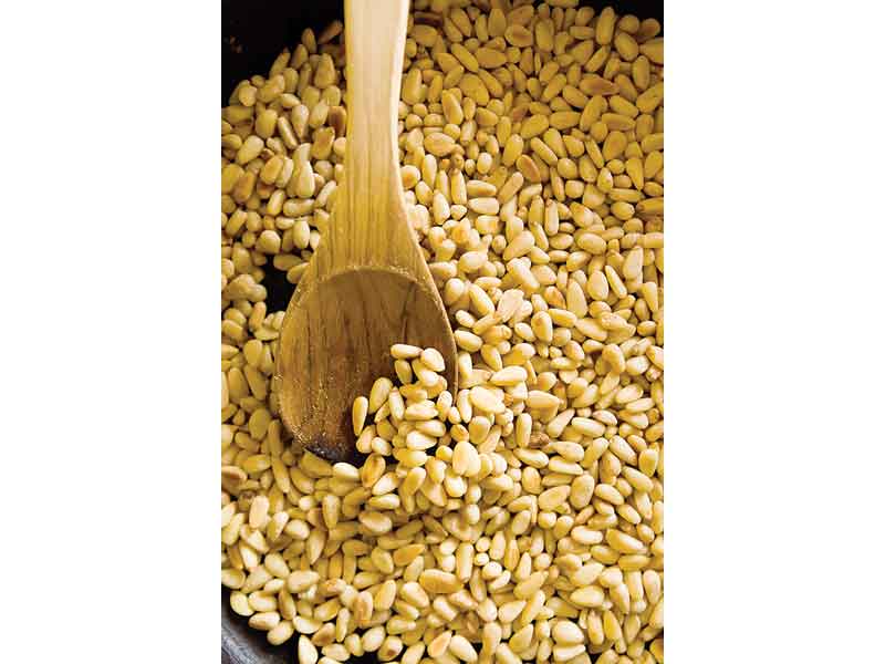 Piñón, el aliado de tu cocina - Nortedigital