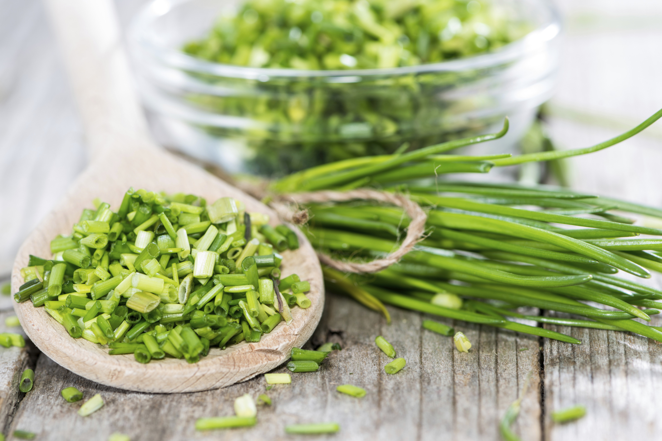 Realza tus sopas y carnes con el cebollín - Nortedigital