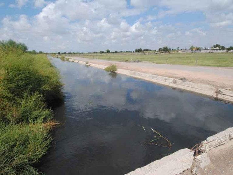 Inicia ciclo agrícola en el Valle de Juárez con condiciones climáticas ...