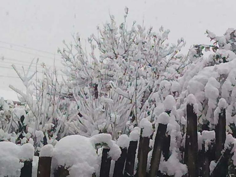 Prevén caída de nieve para hoy en sierra de Chihuahua y Sonora - Norte ...