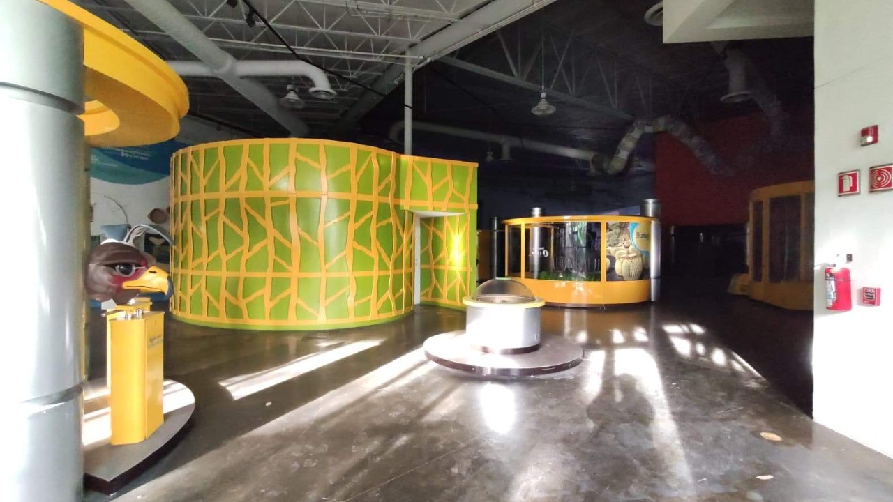 La Rodadora; sigue rodando contra viento, marea y… ¿pandemia? - Norte ...