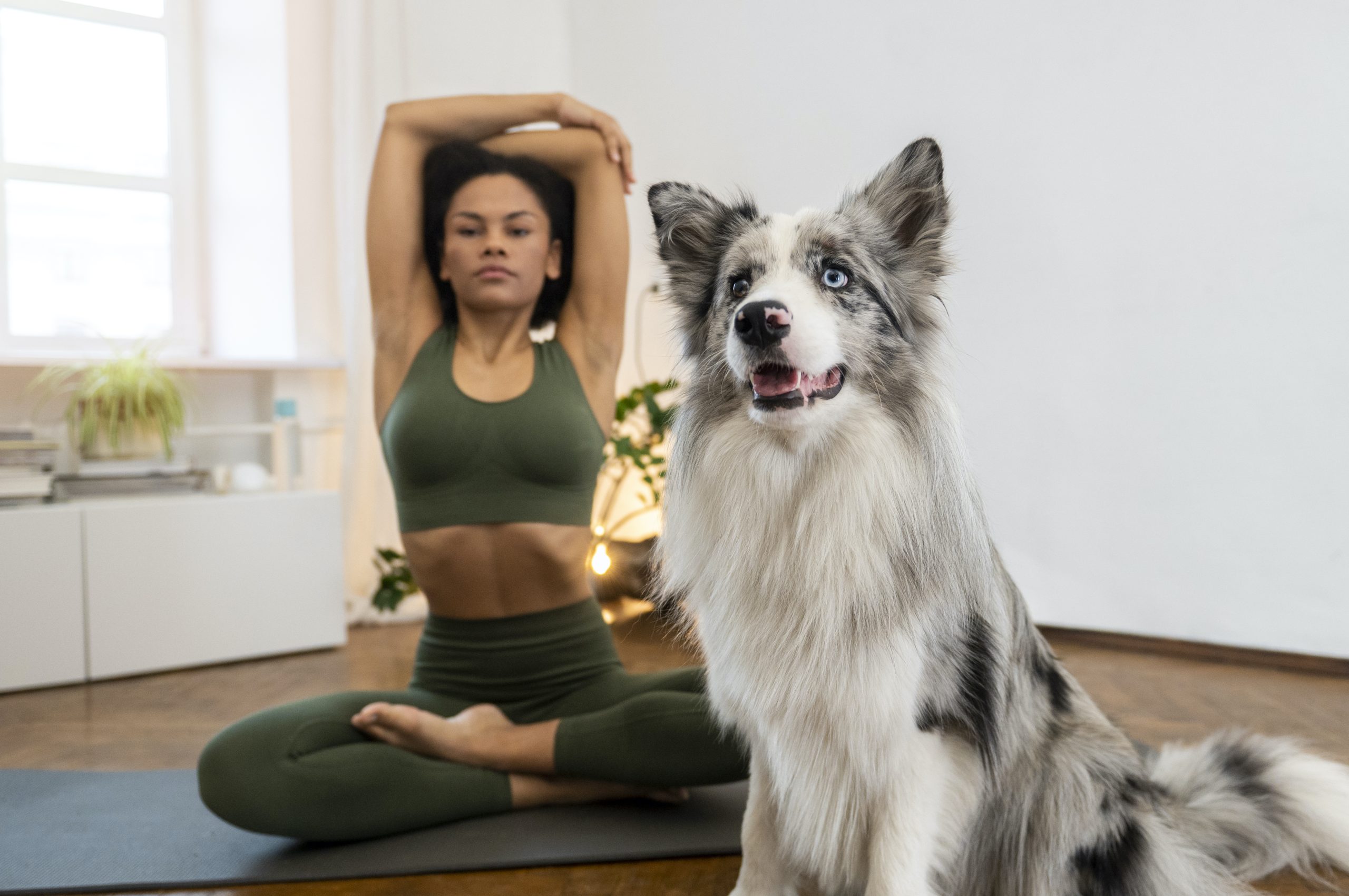 Medita con tus mascota - Weekend