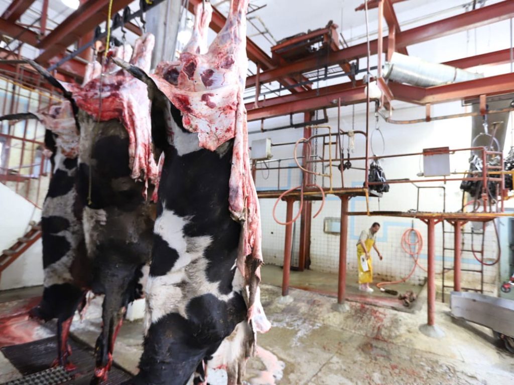 Municipio privatizará el Rastro Municipal y lo mandarán a la entrada de ...