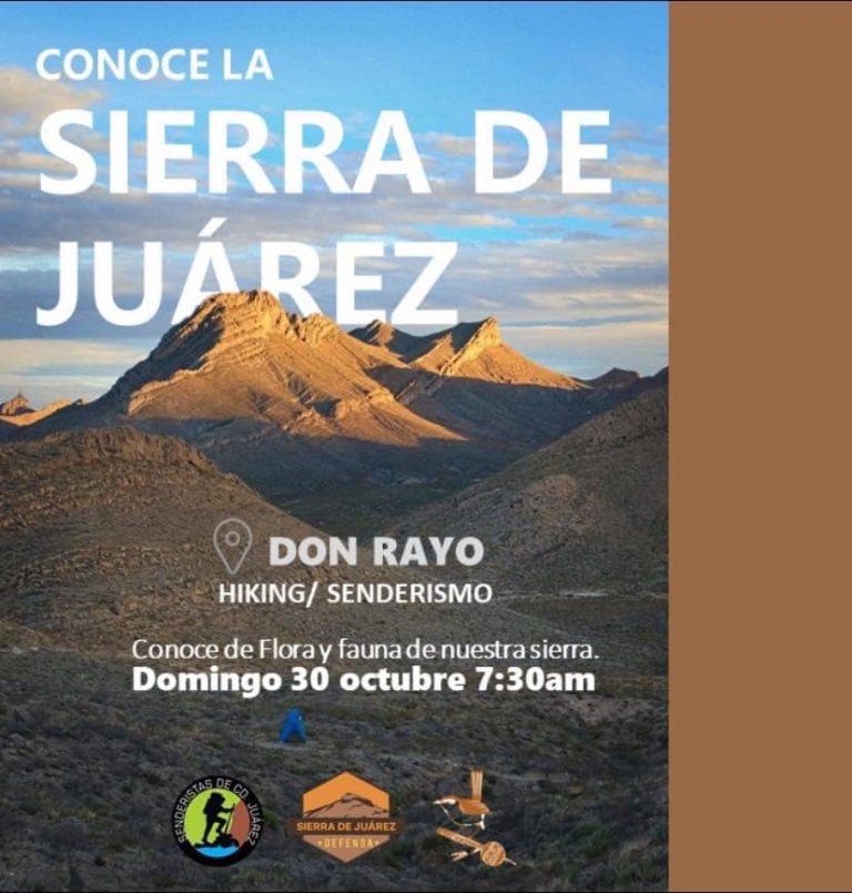 ¿Sabías que Ciudad Juárez fue mar? - Norte de Ciudad Juárez