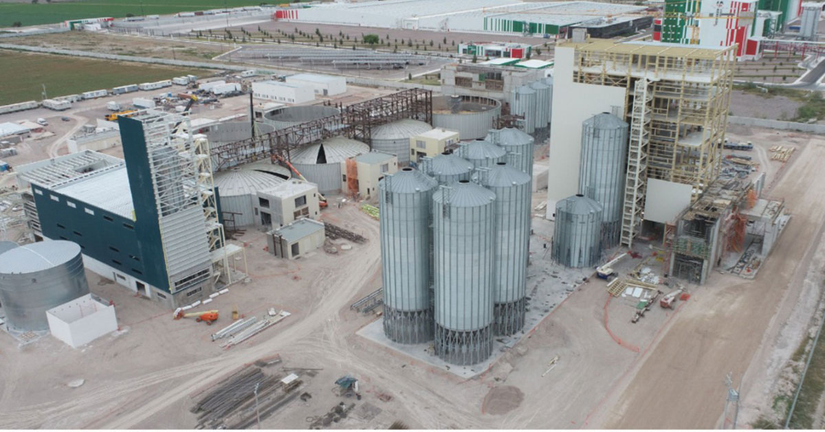 Logra empresa europea su primera producción de malta en Chihuahua tras ...