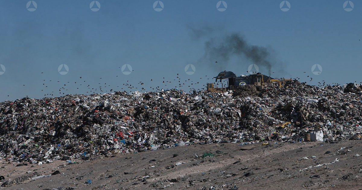 Los Juarenses No Saben Recoger La Basura Mucho Menos Reciclar