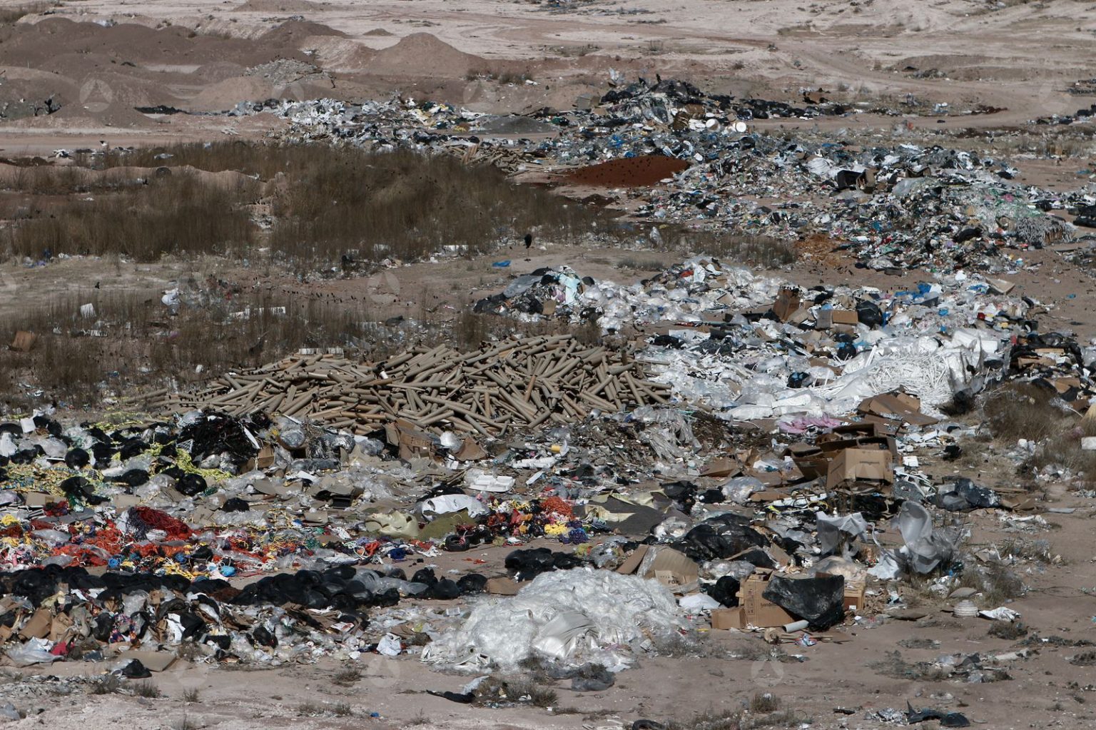 Los juarenses no saben recoger la basura, mucho menos reciclar ...