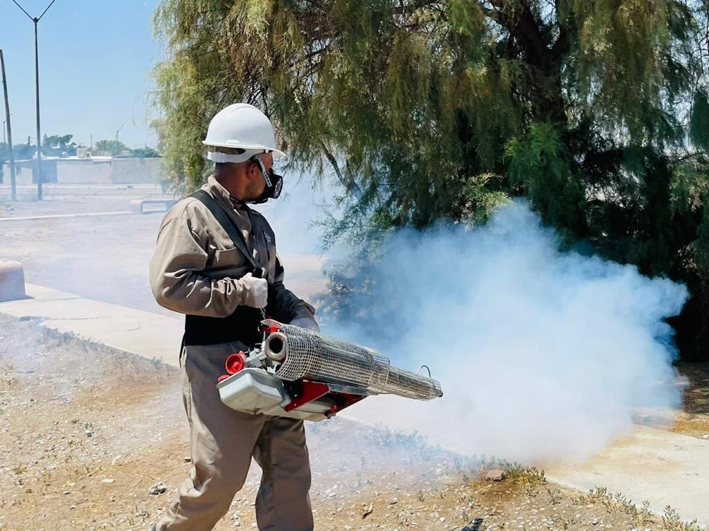 Garrapatas, tan pequeñas como peligrosas - Norte de Ciudad Juárez