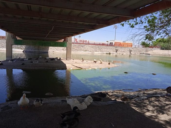 Trabajan Municipio y JMAS en rehabilitación del lago artificial del ...
