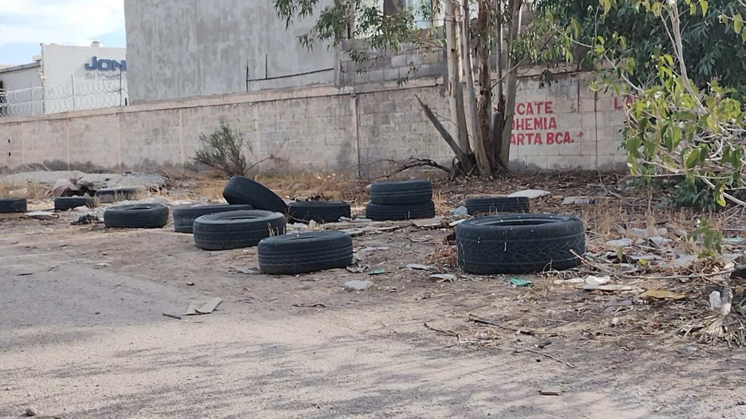 VIDEO y FOTOS: Predios abandonados, basura y calles sucias reciben a ...