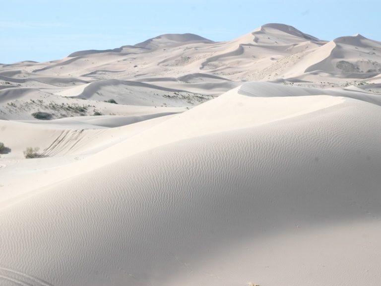 Las Dunas de Samalayuca: más allá de un simple “lugar bonito” - Norte de Ciudad Juárez