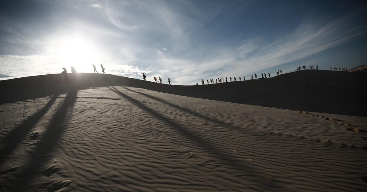 Las Dunas de Samalayuca: más allá de un simple “lugar bonito” - Norte de Ciudad Juárez