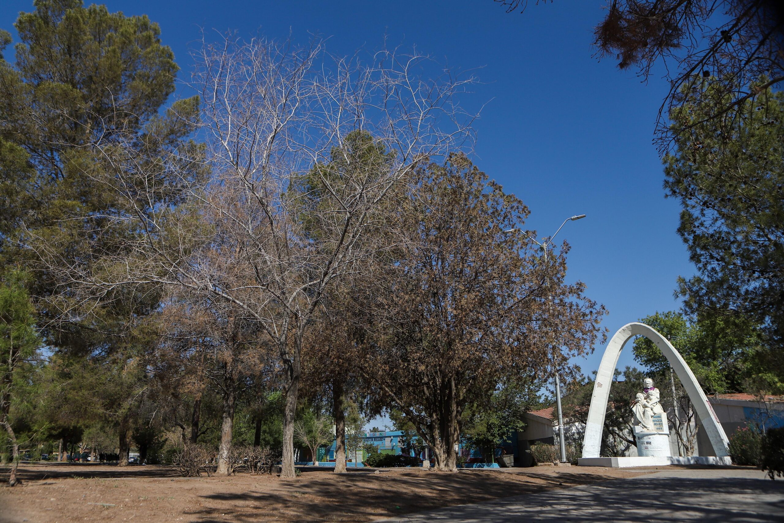 La agonía del Parque Borunda - Norte de Ciudad Juárez
