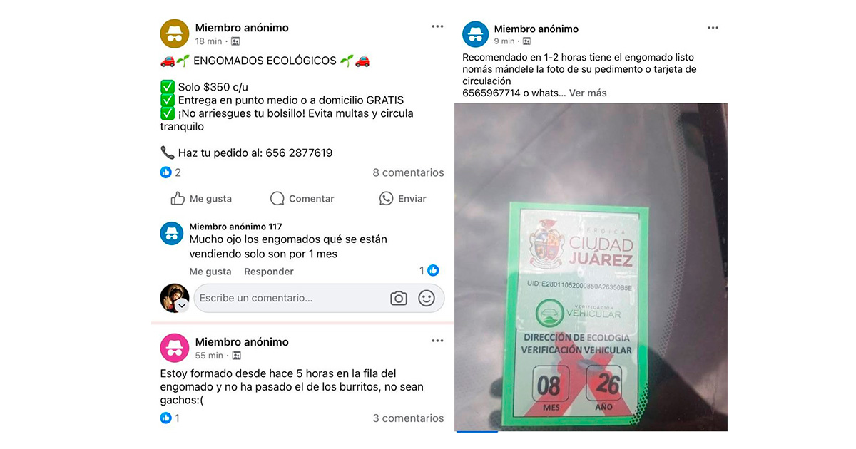 Ofrecen en redes sociales engomados ecológicos falsos - Norte de Ciudad ...