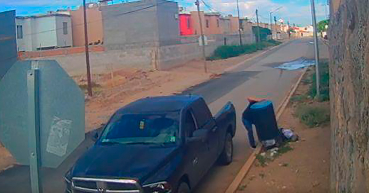 También en Valle del Sol hay “cochis”… este es el Cochino de la Semana ...