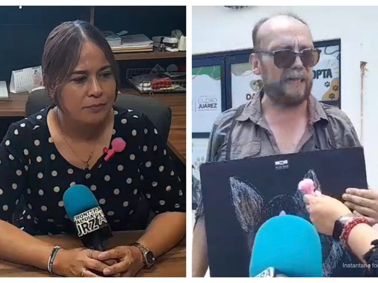 Reaviva polémica por Sasha: Dueño acusa que se la quieran quitar y DABA ...